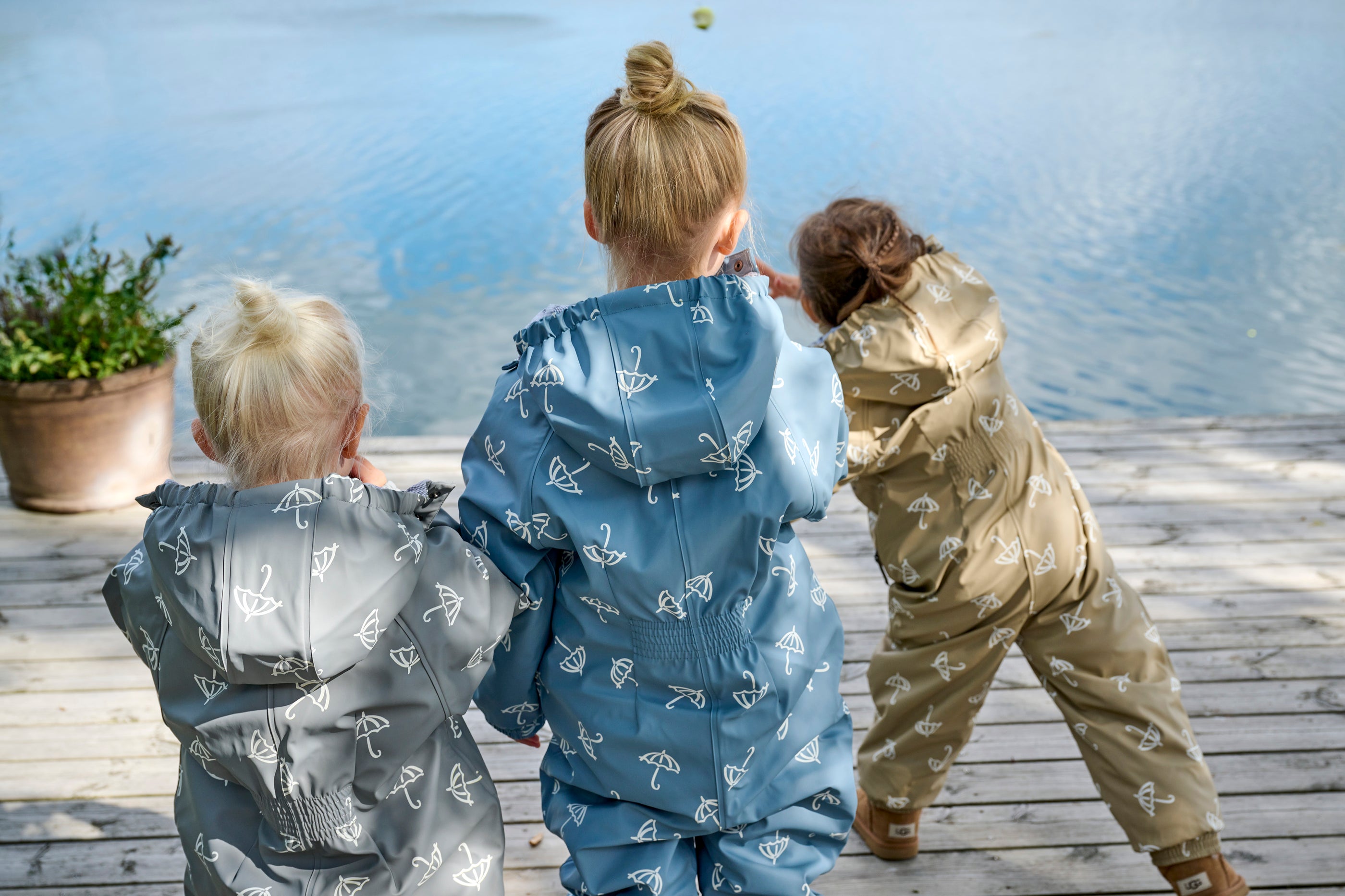 VER de TERRE officiel website